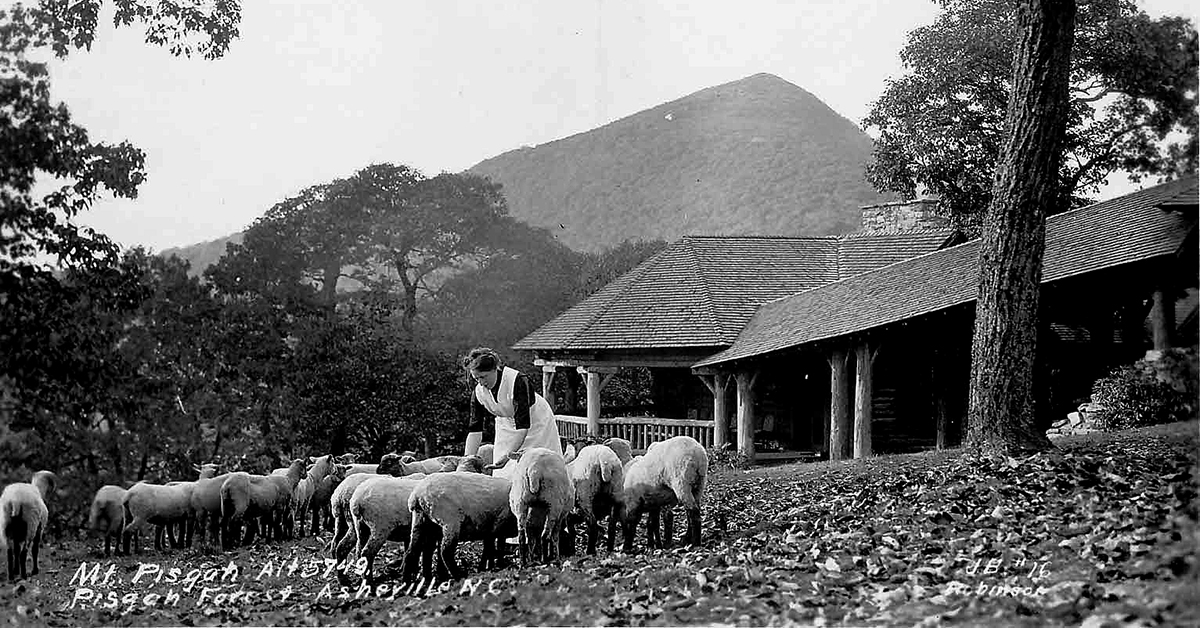 Buckspring Lodge: A Summer Retreat for Sheep - Biltmore